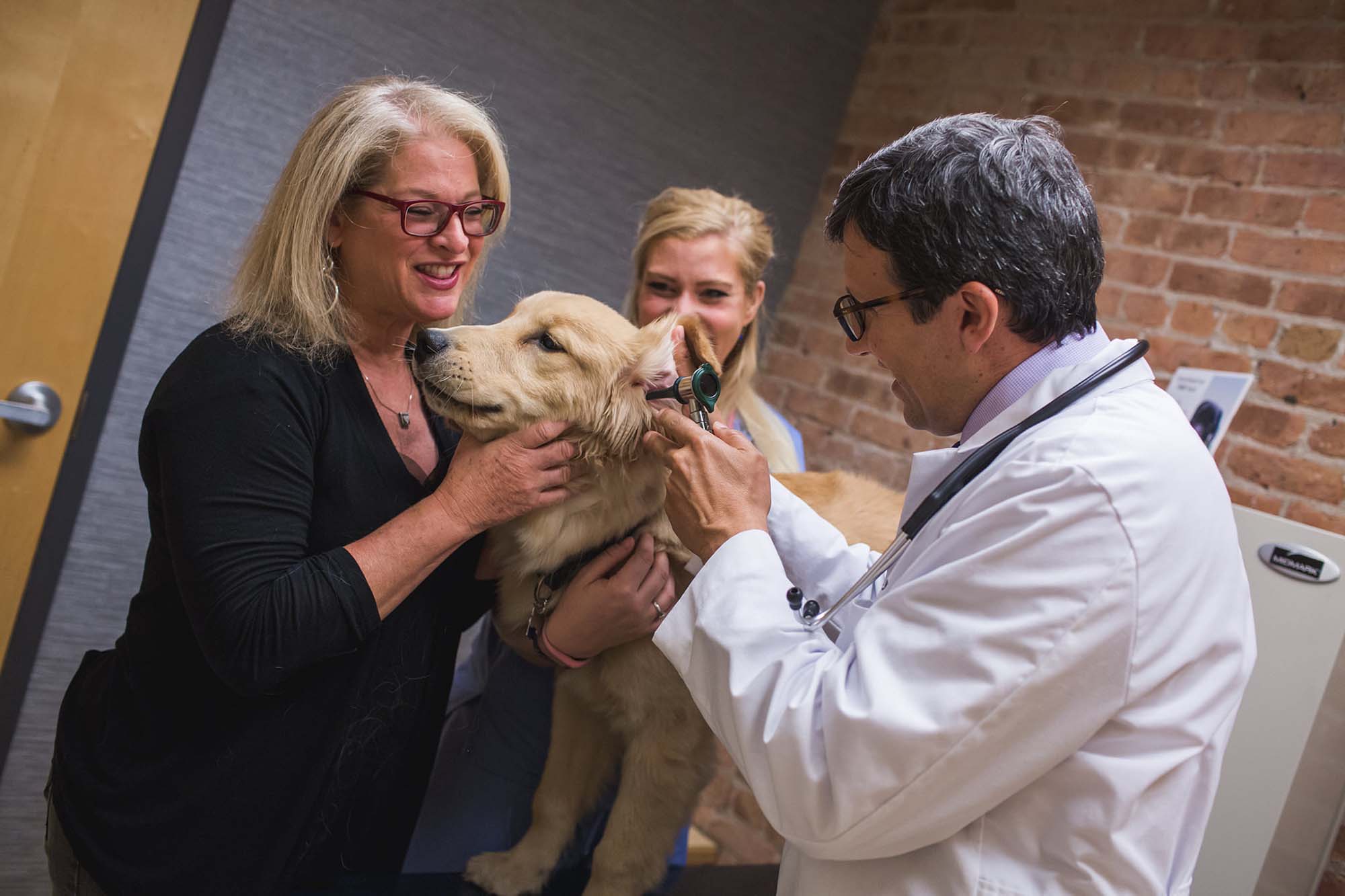 Accepting New Clients in Chicago | West Loop Veterinary Care