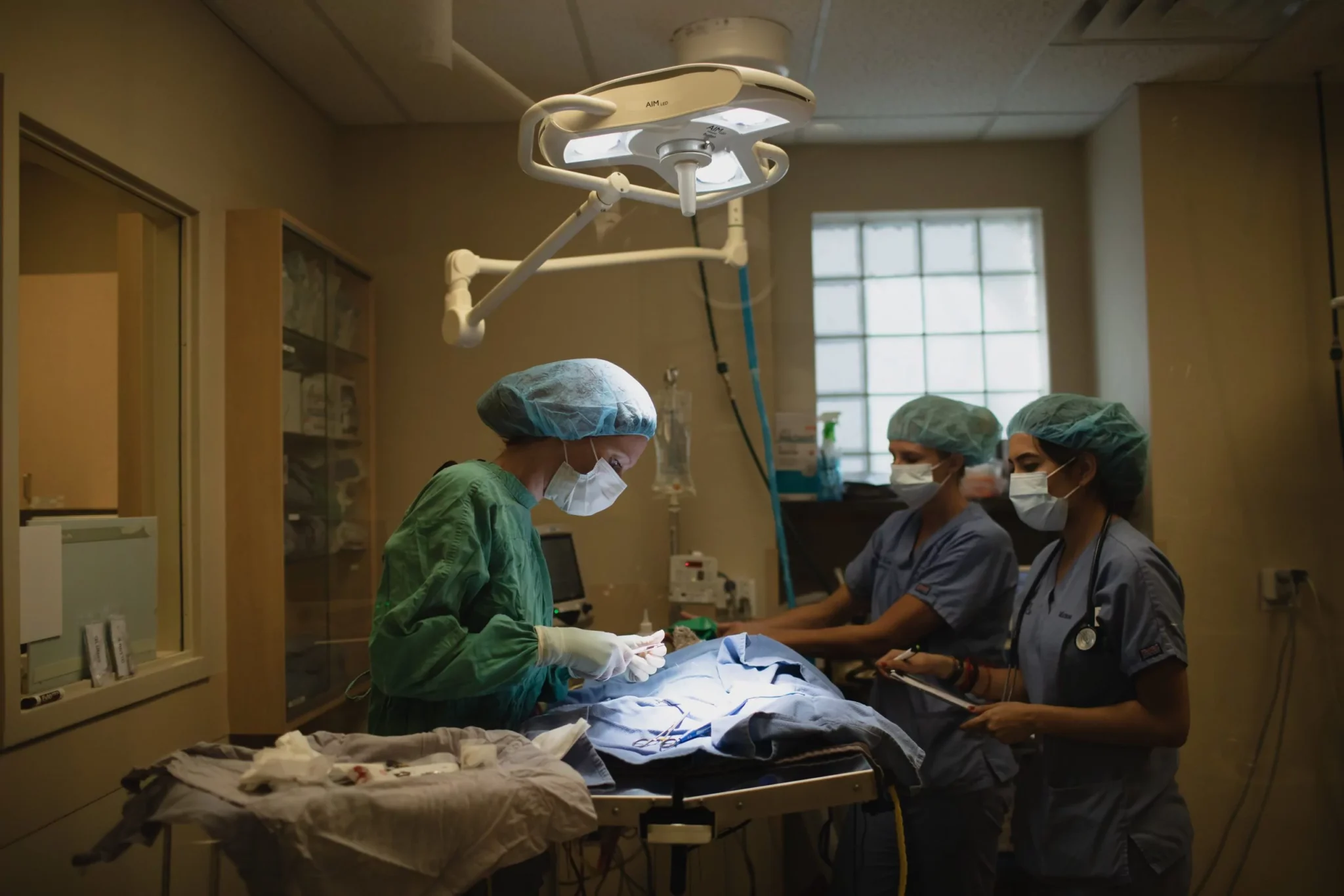 Dog and Cat Surgery in Chicago, IL | West Loop Veterinary Care